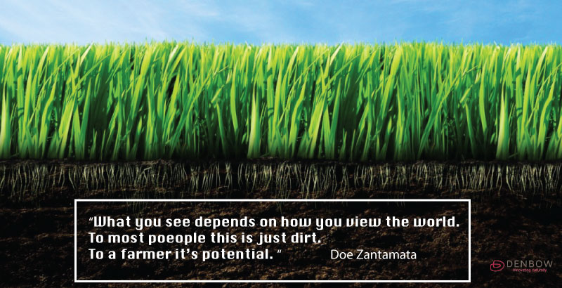 Rich Soil Quotes
