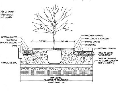 Structural Soil: An Innovative Medium Under Pavement - Denbow