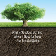 Single Most Important Aspect Of Soil - Ask Tom series - Denbow