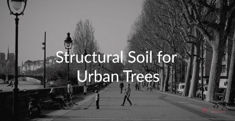 Structural-Soil-for-Urban-Trees - Denbow