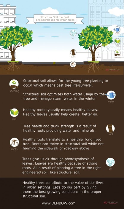 Structural Soil: an infographic - Denbow