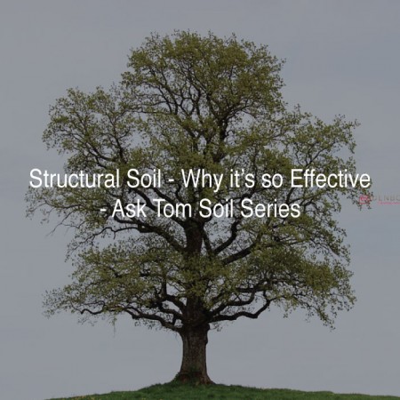 What is Structural Soil and Why is it Good for Trees - Denbow