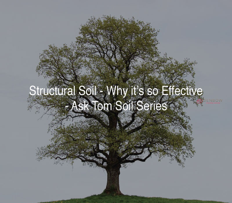 Structural Soil - Why is it So Effective? Ask Tom series - Denbow