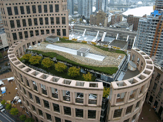 Is Sustainable Development for Real? - Denbow
