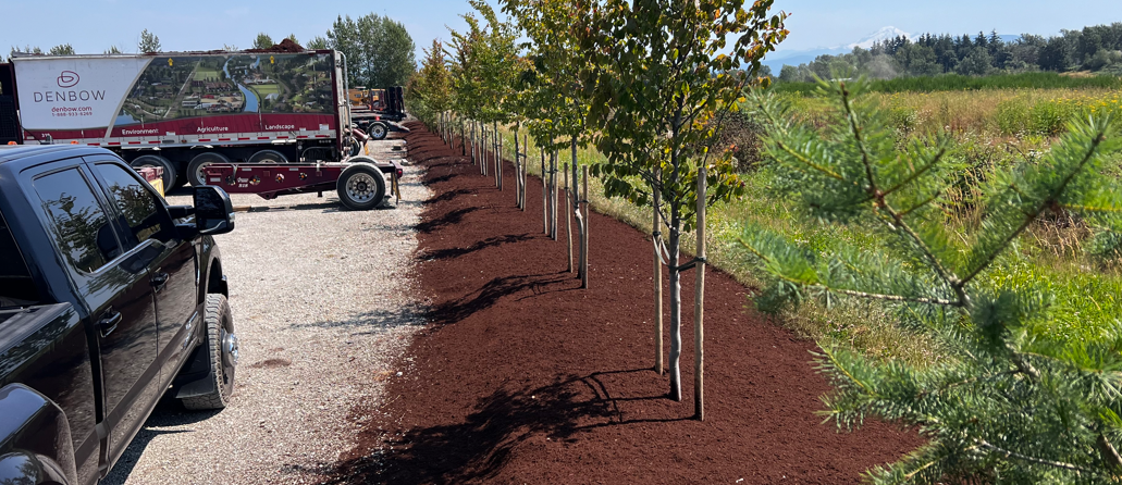 FAQ's of Mulch and Bark - Denbow